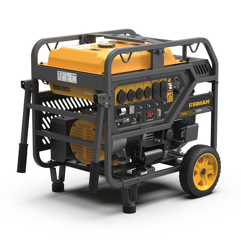 Firman P12002 Portable Generator, 30 A, 120/240 VAC, Gasoline, 13 gal ...