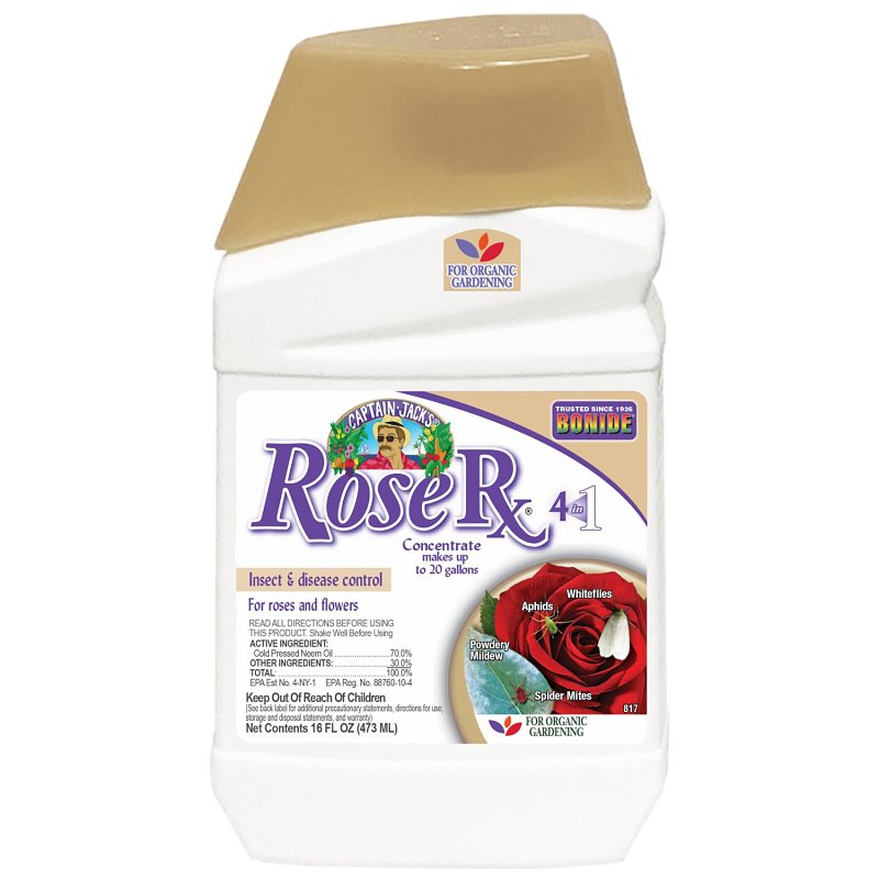 Bonide Captain Jack's Rose Rx 817-P Fungicide/Miticide/Insecticide, Li ...