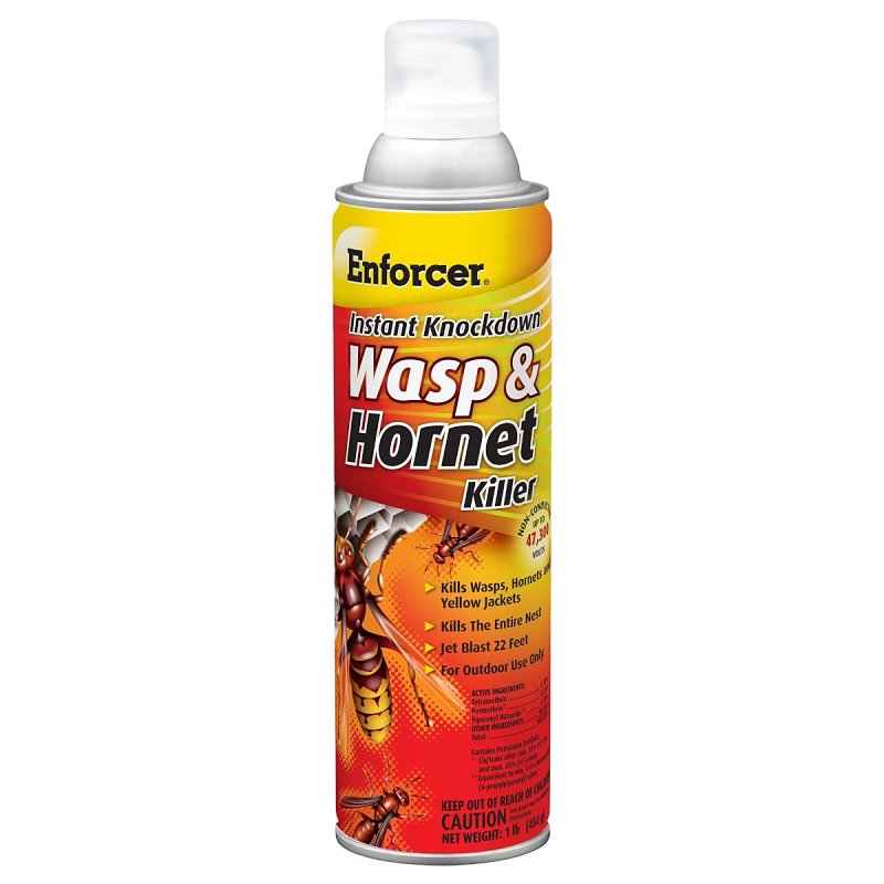 Enforcer EWHIK16 Wasp and Hornet Killer, Gas, Spray Application, 16 oz ...